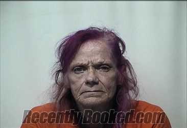 Recent Booking / Mugshot for SANDRA ANNETTE SCOTT in Christian County ...