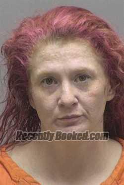 Recent Booking / Mugshot for JESSICA PARKER JORDAN in Lincoln County ...