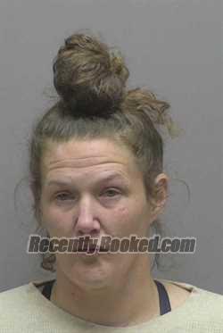 Recent Booking / Mugshot for BRITTANY ELIZABETH HAMILTON in Lincoln ...