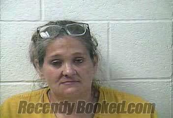 Recent Booking / Mugshot for BRANDY SUE AUSTIN in Daviess County, Kentucky