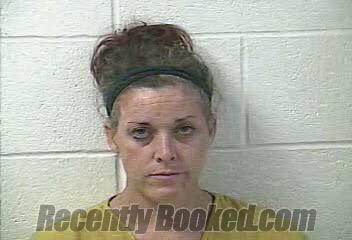 Recent Booking / Mugshot for SARAH ELIZABETH CASE in Daviess County ...