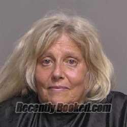 Recent Booking / Mugshot for CAROL ANN GRACE in Flagler County, Florida