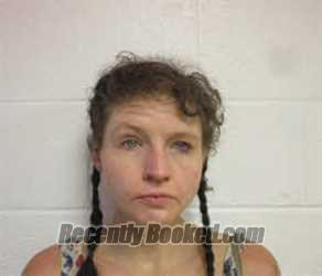 Recent Booking / Mugshot for ELIZABETH ANNETTE JONES in Macon County ...
