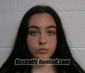 Recent Booking / Mugshot for RAEANNA LYNN HAYNES in Macon County, North ...