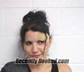 Recent Booking / Mugshot for MEGAN BETHANY CUMMINGS in Macon County ...