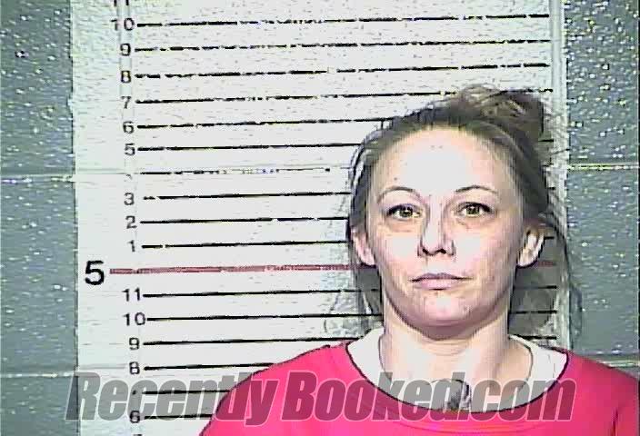 Recent Booking / Mugshot for DESTINY CAROL RITCHIE in Franklin County ...