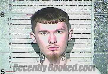 Recent Booking / Mugshot for TOBY ALEXZANDERSHAWN BERRY in Franklin ...
