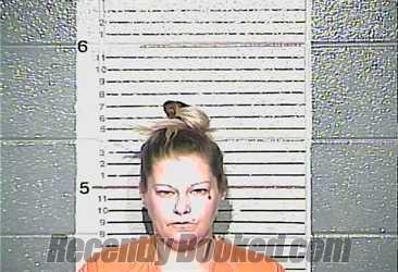 Recent Booking / Mugshot for TARA MICHELLE BOWMAN in Franklin County ...