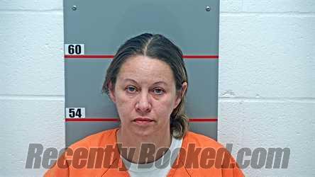 Recent Booking / Mugshot for KIMBERLY GAITHER in Grayson County, Kentucky