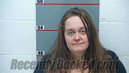 Recent Booking / Mugshot for TABITHA OCONNOR in Grayson County, Kentucky