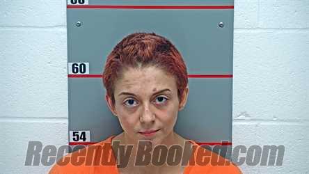 Recent Booking / Mugshot for KATHERINE A CAMPBELL in Grayson County ...