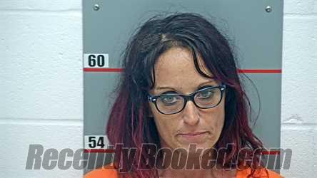 Recent Booking / Mugshot for ANGELA M SKAGGS in Grayson County, Kentucky
