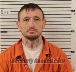 Recent Booking / Mugshot for RANDY DALE PRICE in Madison County, North ...