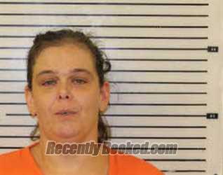Recent Booking / Mugshot for FELISHA ANN ANDERSON in Madison County ...