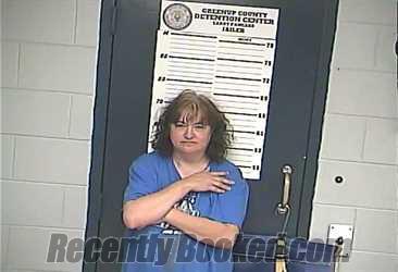 Recent Booking / Mugshot for ALLISON NICOLE ROBINETTE in Greenup County ...