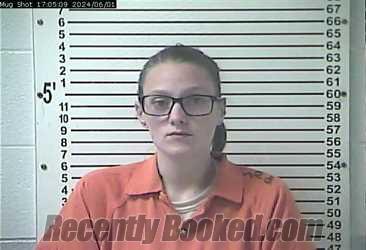 Recent Booking / Mugshot for BRIANNA MARIE NAPPER in Hardin County ...