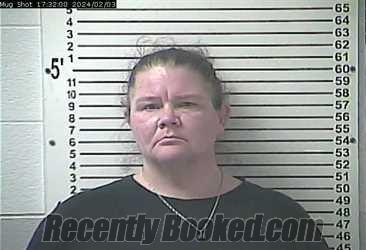 Recent Booking / Mugshot for BRANDI JUDITH THOMAS in Hardin County ...