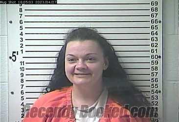 Recent Booking / Mugshot for CHRISTINA NICOLE BURRIS in Hardin County ...