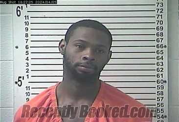 Recent Booking / Mugshot for CHRISTOPHER TERRELL JONES in Hardin County ...