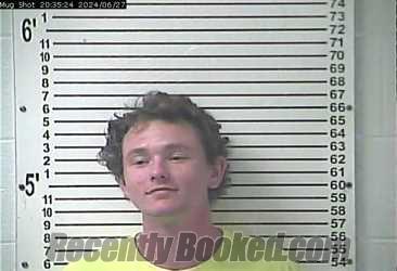 Recent Booking / Mugshot for CHRISTOPHER TODD PITTMAN in Hardin County ...