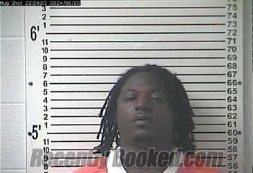 Recent Booking / Mugshot for CHARLES MAURICE WILLIAMS in Hardin County ...