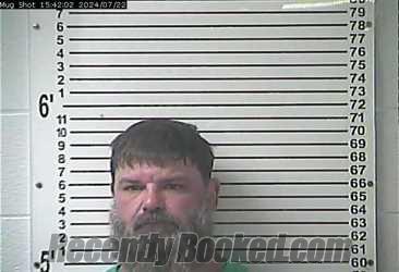 Recent Booking / Mugshot for DAVID RAY SIMPSON in Hardin County, Kentucky