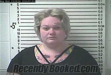 Recent Booking / Mugshot for GABRIELLE NICOLE RENFRO in Hardin County ...