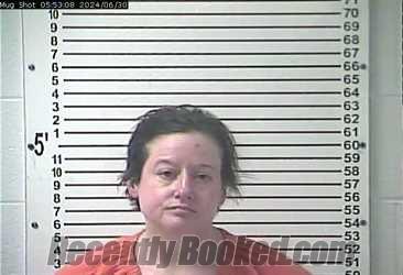 Recent Booking / Mugshot for KATE MARIE DISTASI in Hardin County, Kentucky