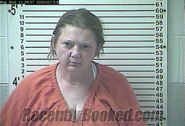 Recent Booking / Mugshot for LAURA MICHELLE BAIZE in Hardin County ...