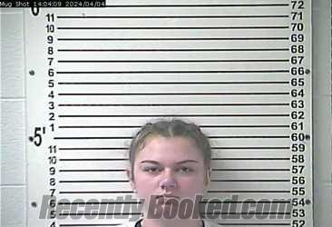 Recent Booking / Mugshot for LEXIS LOUISE PULLEN in Hardin County, Kentucky