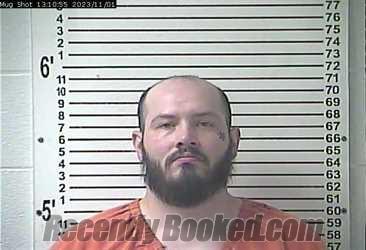 Recent Booking / Mugshot for MICHAEL WAYNE SNOW in Hardin County, Kentucky