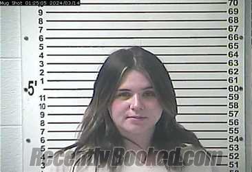 Recent Booking / Mugshot for SYDNEY ELIZABETH SEAY in Hardin County ...