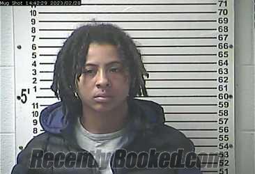Recent Booking / Mugshot for SHARON FAYE TIDWELL in Hardin County, Kentucky