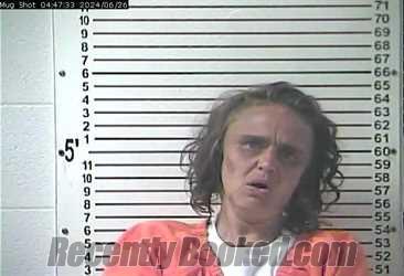 Recent Booking / Mugshot for VICTORIA TRISTA KASSIN in Hardin County ...