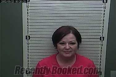 Recent Booking / Mugshot for MISTY S SHEPHERD in Harlan County, Kentucky