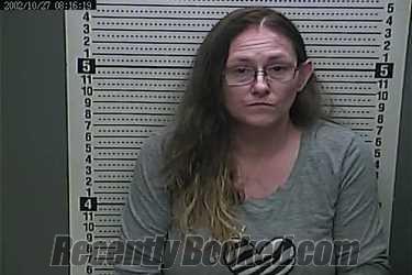 Recent Booking / Mugshot for NINA LONG in Harlan County, Kentucky