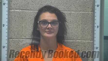 Recent Booking / Mugshot for ASHLEY RENEE DUNCAN in Henderson County ...