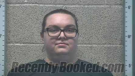 Recent Booking / Mugshot for AMBER L REEVES in Henderson County, Kentucky