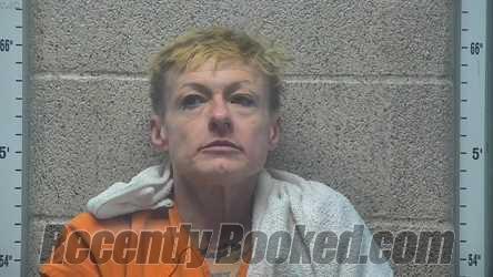 Recent Booking / Mugshot for BRANDI LYNN ATKINS in Henderson County ...