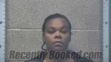 Recent Booking / Mugshot for BRANDY WALLACE in Henderson County, Kentucky