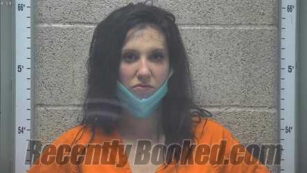 Recent Booking / Mugshot for CHELSEA N STONE in Henderson County, Kentucky