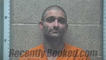 Recent Booking / Mugshot for DONALD RAY HARMON JR in Henderson County ...