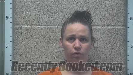 Recent Booking / Mugshot for ELIZABETH MARIE JOHN-HUDNALL in Henderson ...