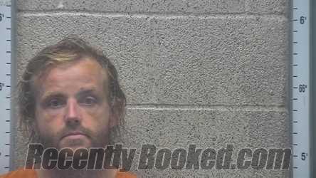 Recent Booking / Mugshot for ELIJAH SEAN LANCE in Henderson County ...