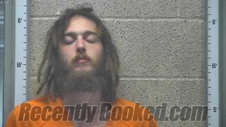 Recent Booking / Mugshot for JAYDEN TRACE MITCHELL in Henderson County ...