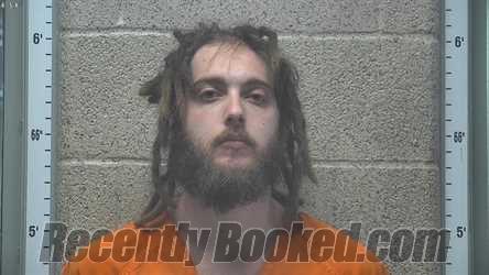 Recent Booking / Mugshot for JAYDEN TRACE MITCHELL in Henderson County ...