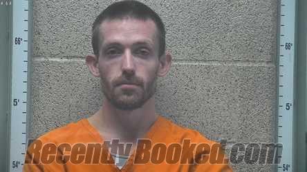 Recent Booking / Mugshot for JAMES WHEELER in Henderson County, Kentucky