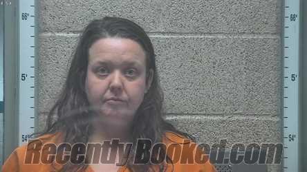 Recent Booking / Mugshot for KIMBERLY D BRISCOE in Henderson County ...