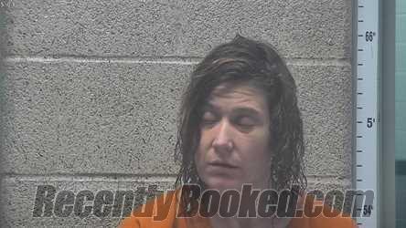 Recent Booking / Mugshot for KELLY R MCPHERSON in Henderson County ...