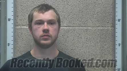 Recent Booking / Mugshot for LARRY L HINSON-LEE in Henderson County ...